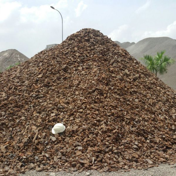 Processed Skull - Peakmore International Pte Ltd
